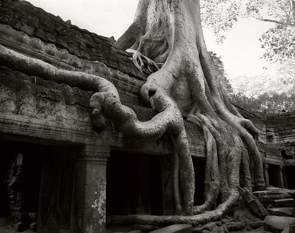 Beth Moon: Retrospective | MONOVISIONS - Black & White Photography Magazine