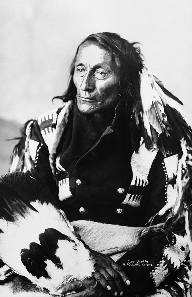 Vintage: Portraits of the First Nations People by Alex Ross (1880s ...