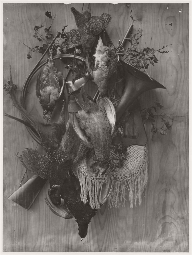 Biography: 19th Century photographer Adolphe Braun | MONOVISIONS ...