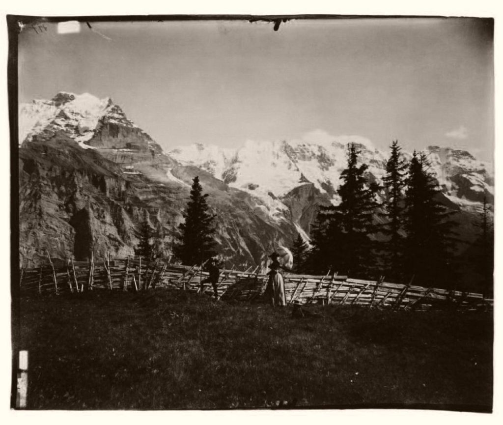 Adolphe Braun: A European Photography Business and the 19th-Century ...