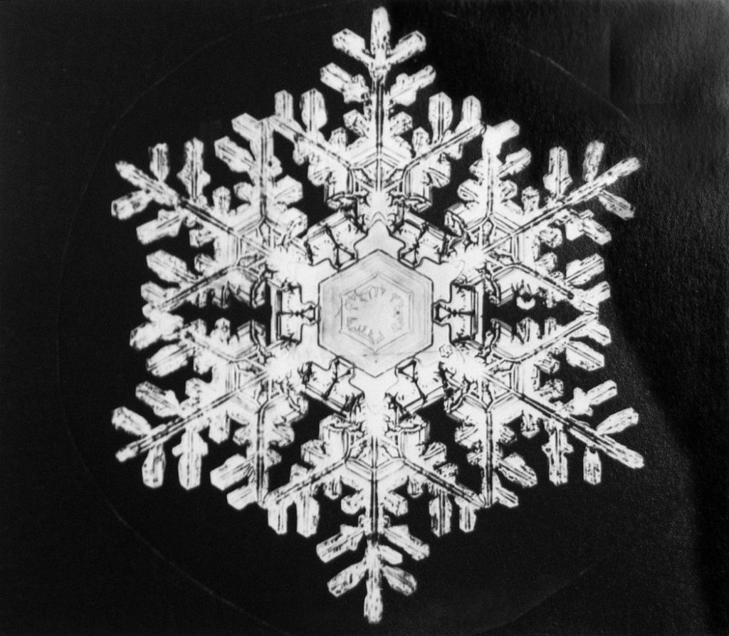 Biography: 19th Century photographer of Snowflakes – Wilson Bentley ...